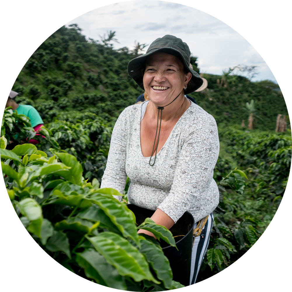 Summit Colombian Coffee